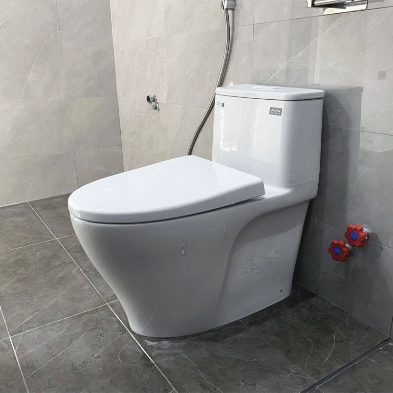 Bồn cầu INAX AC-989VN 1 khối Aqua Ceramic nắp êm chính hãng - INAX Miền Nam